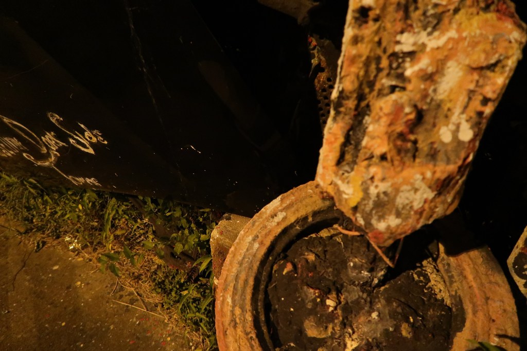 FLANAGAN OPTION \/ISIOM IS A GENIUS (SPECIAL EDITION) 2024/2025 AD ...